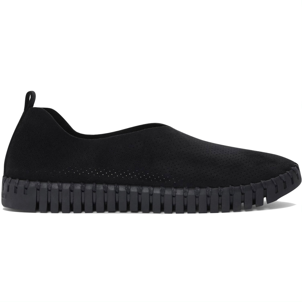 TULIP3272 - Black – E.G.Geller